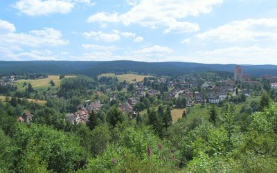 Altenau - Harzer Tourismusverband e.V.